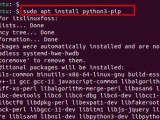 Fix Usr Bin Python No Module Named Pip Its Linux Foss