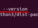 Fix Usr Bin Python No Module Named Pip Its Linux Foss