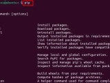 Fix Usr Bin Python No Module Named Pip Its Linux Foss