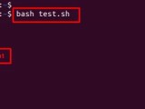 Bash Until Loop Explained Its Linux Foss
