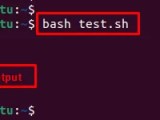 Bash Until Loop Explained Its Linux Foss