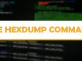 How To Use Hexdump Command In Linux Its Linux Foss