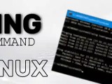 Linux Ping Command Its Linux Foss