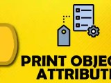 How To Print Object Attributes In Python Its Linux Foss