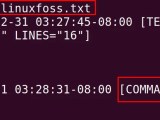 How To Use Script Command In Linux Its Linux Foss