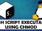 How To Make Bash Script Executable Using Chmod Its Linux Foss