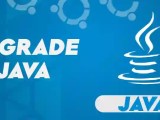 How To Upgrade Java On Ubuntu Its Linux Foss