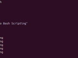 Introduction To Bash While Loop With Examples Its Linux Foss