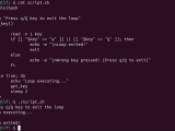 Introduction To Bash While Loop With Examples Its Linux Foss