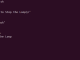 Introduction To Bash While Loop With Examples Its Linux Foss