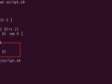 Introduction To Bash While Loop With Examples Its Linux Foss