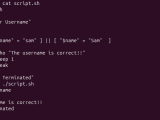 Introduction To Bash While Loop With Examples Its Linux Foss