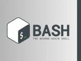 7 Practical Bash Script Examples For Automating Everyday Tasks