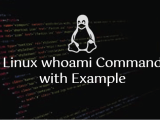 Linux Whoami Command With Example