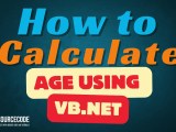 How To Calculate Age Using Vb Net