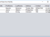 How To Load Data From Mysql Database To Table Element Using Java