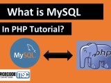 Best Mysql Tutorial For Beginners In 7 Days Best Practices 2022