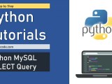 Python Mysql Select Query Step By Step Guide In Python