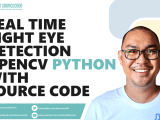 Real Time Right Eye Detection Opencv Python With Source Code 2021