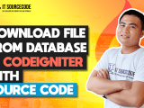 Codeigniter Download File From Database With Source Code