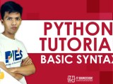 Python Basic Syntax With Examples And Pdf