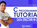 Data Structures In C With Advanced Examples Itsourcecode