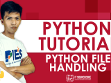 File Handling Functions In Python With Examples