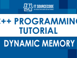 C Dynamic Memory Tutorial With Program Example