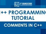 Comments In C Programming Language With Examples