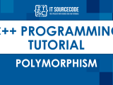 Polymorphism In C With Example And Best Explanation