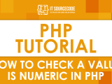 How To Check A Value Is Numeric In Php Itsourcecode