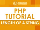 How To Find The Length Of A String In Php With Example
