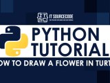 How To Draw A Flower In Turtle Python