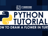 How To Draw A Flower In Turtle Python