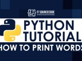 How To Print Words Python With Examples