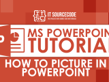 How To Add Pictures To Powerpoint In Different Ways Quickly