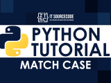 Python Match Case With Code Example