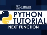 Python Next Function With Examples