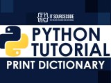 Python Print Dictionary Techniques And Examples