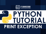 How To Print Exception In Python With Examples