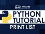 Python Print List With Advanced Examples