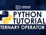 Python Ternary Operator With Best Example Programs