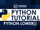 Python Lower Method With Advanced Examples