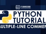 Multiple Line Comment In Python With Best Examples