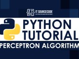 Perceptron Algorithm Python Implementation With Examples