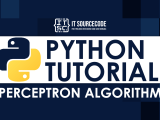 Perceptron Algorithm Python Implementation With Examples