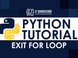 Python Exit For Loop With Example Programs