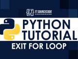 Python Exit For Loop With Example Programs
