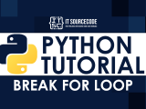 How Python Break For Loop With Examples