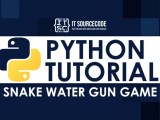 Snake Water Gun Game In Python With Source Code